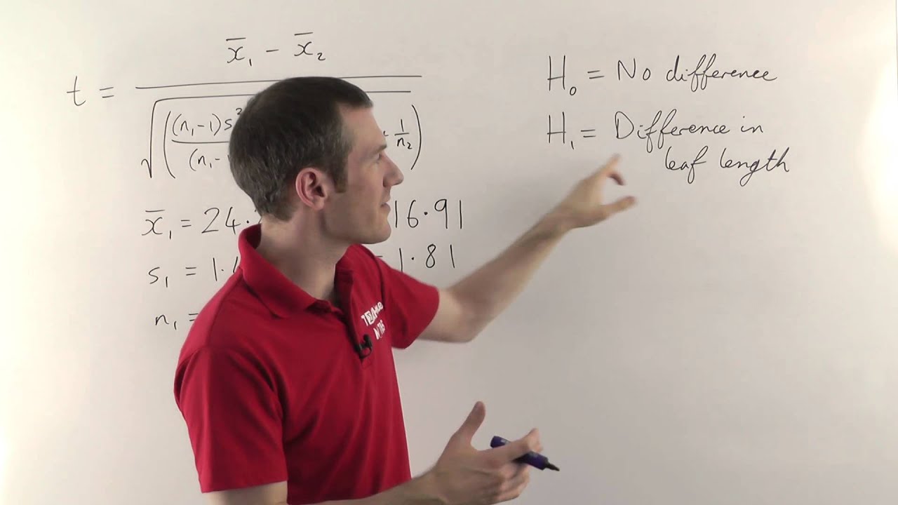 t-Test with Unpaired (Independent) Samples – Luv4Statistics Videos